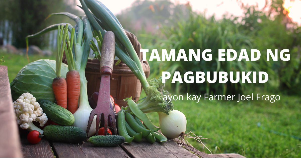 Ang tamang edad ng pagbubukid ay ngayon na - Tutubi News