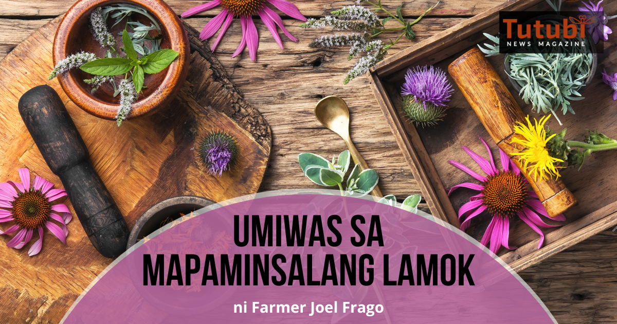 Umiwas sa mapaminsalang lamok - Tutubi News