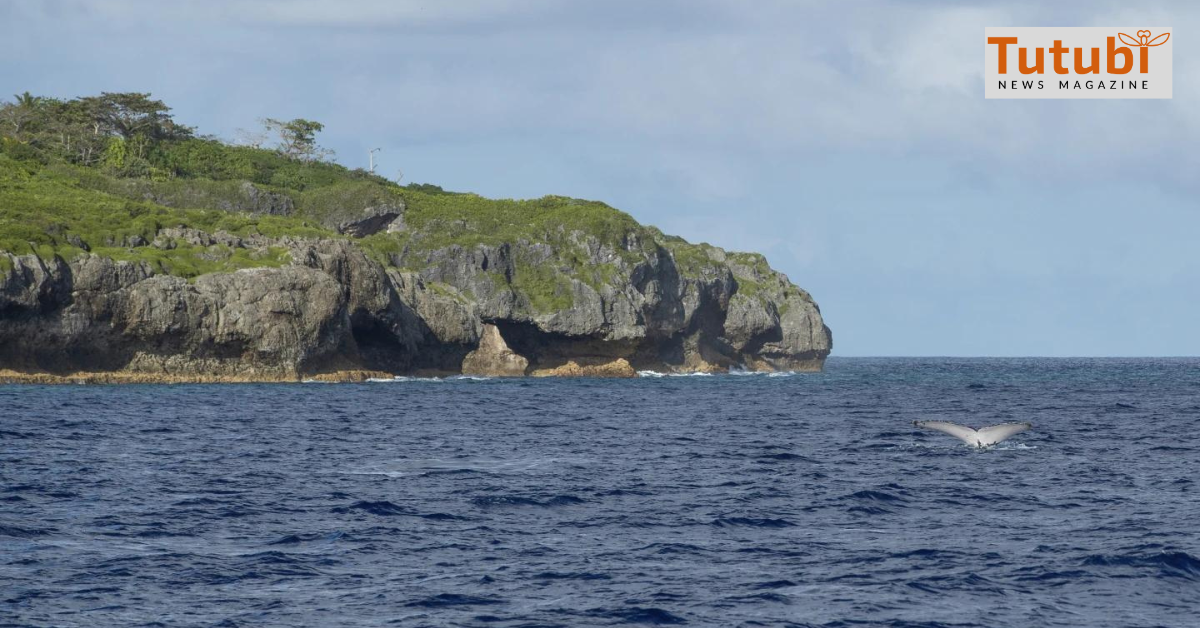 Ocean sponsorship, innovative strategy: Niue's unique approach to ...