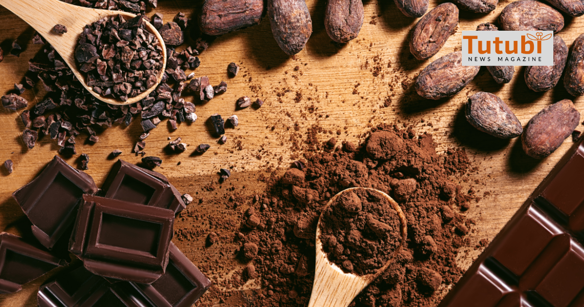 Companies explore alternatives to meet growing chocolate demand ...