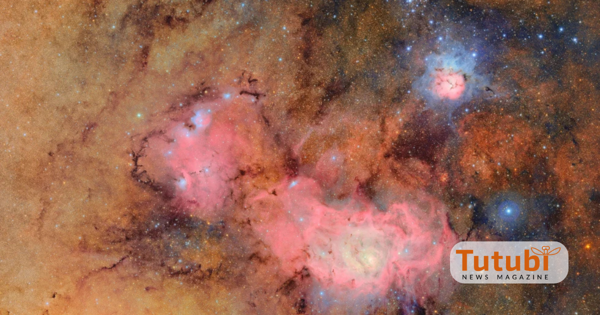 Largest digital camera captures stunning first images of the universe ...
